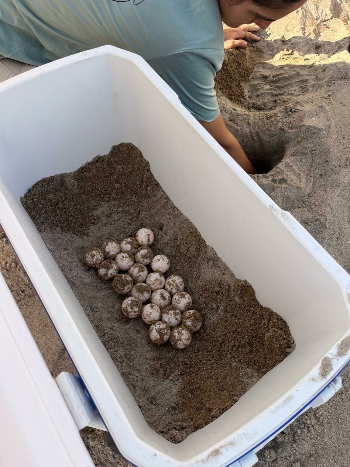 Krysten ritter look alike porn the provider Erin proved to