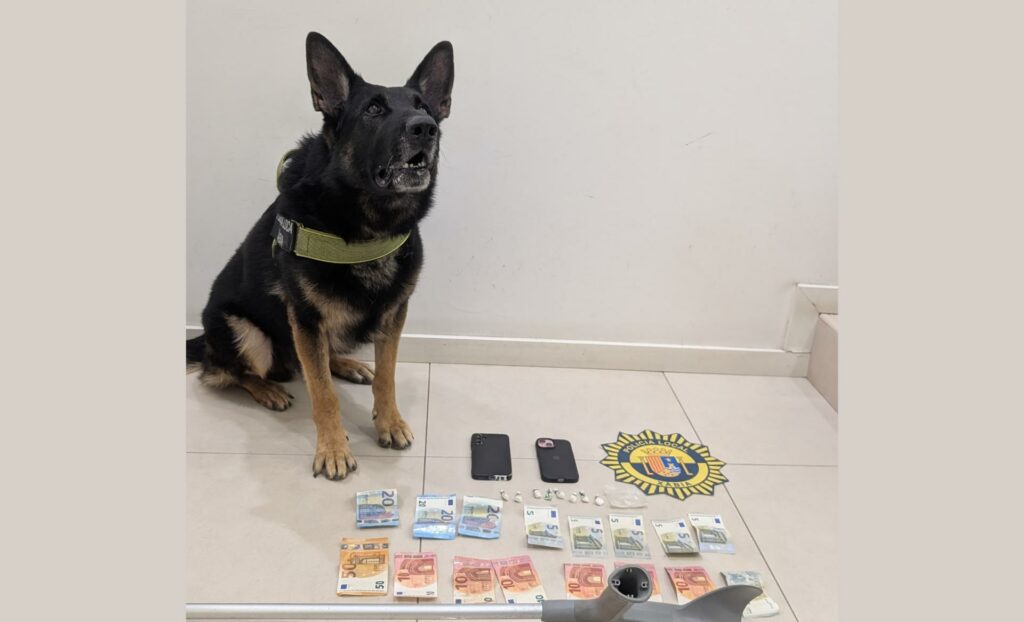 Detenido un joven en Xàbia tras un control policial apoyado por el ...